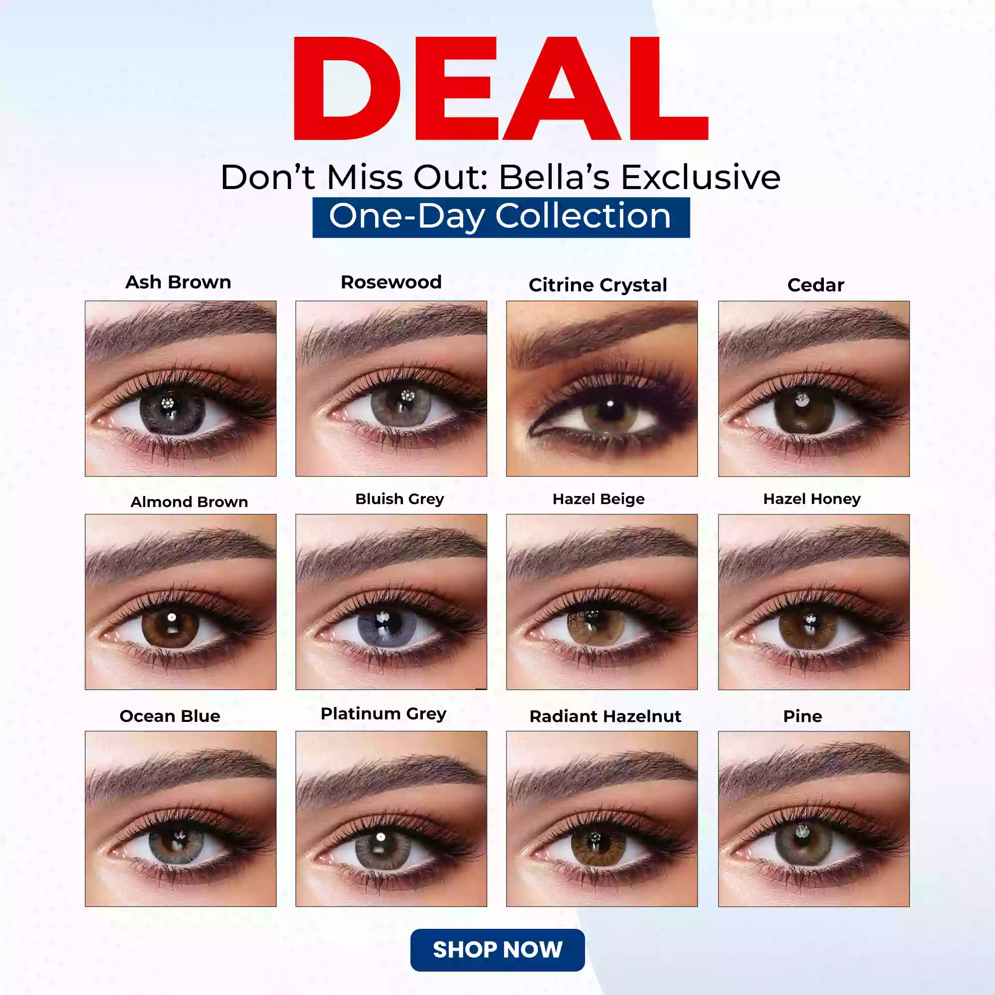 Bella - Exclusive One-Day Collection Deal - Eyelenses